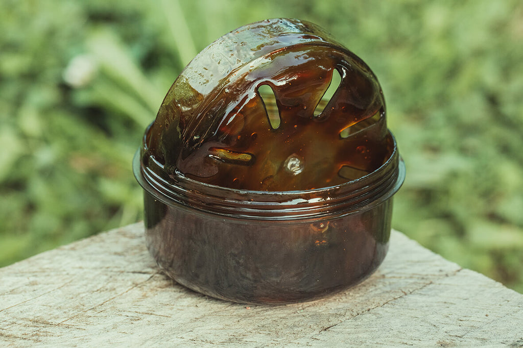 Boilie Bait Pot Forge Tackle Carp Fishing Gear Carpbait